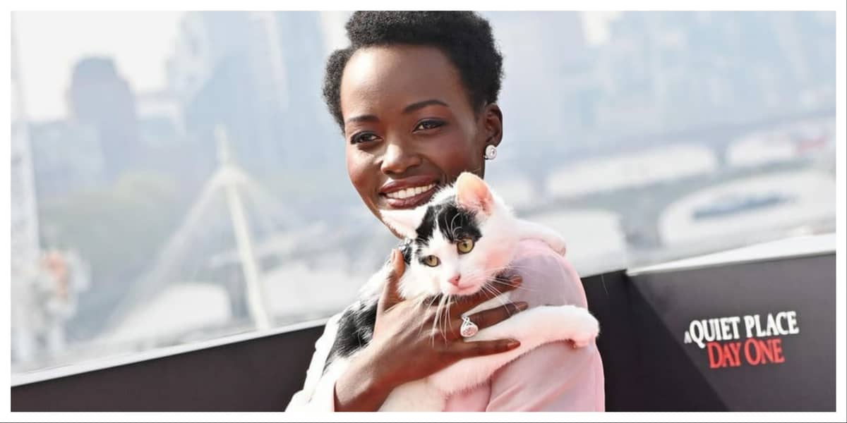 Beyond Schnitzel: 8 other furry actors we admire | t2ONLINE