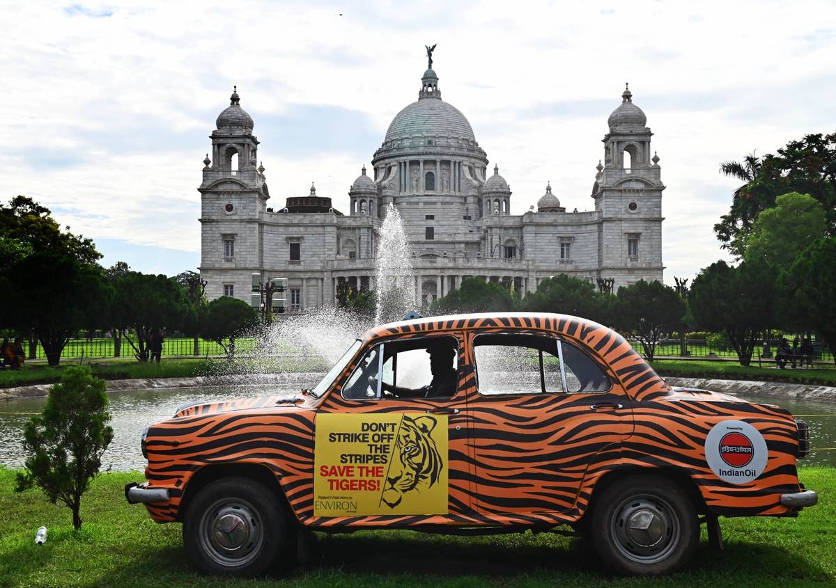 A dialogue on tiger conservation with a tiger themed taxi initiative ...