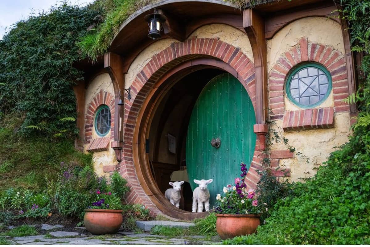 Hobbit Day: Exploring New Zealand's Iconic LOTR filming locations ...