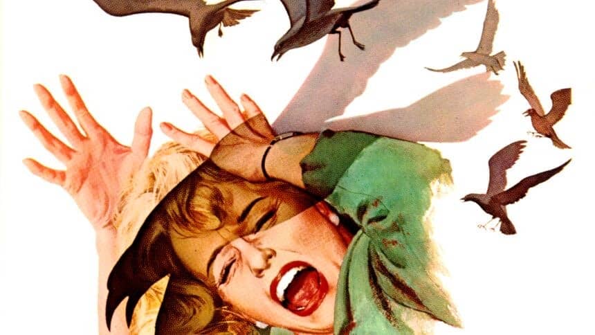 Sixty three years after Alfred Hitchcock's Birds, get all set for a ...