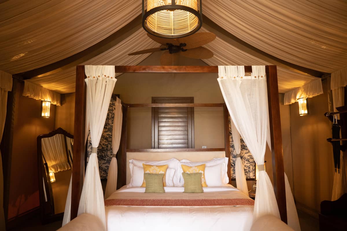 Luxury Farm Retreat: Sangam Farms Bhilwara's Rural Charm | t2ONLINE