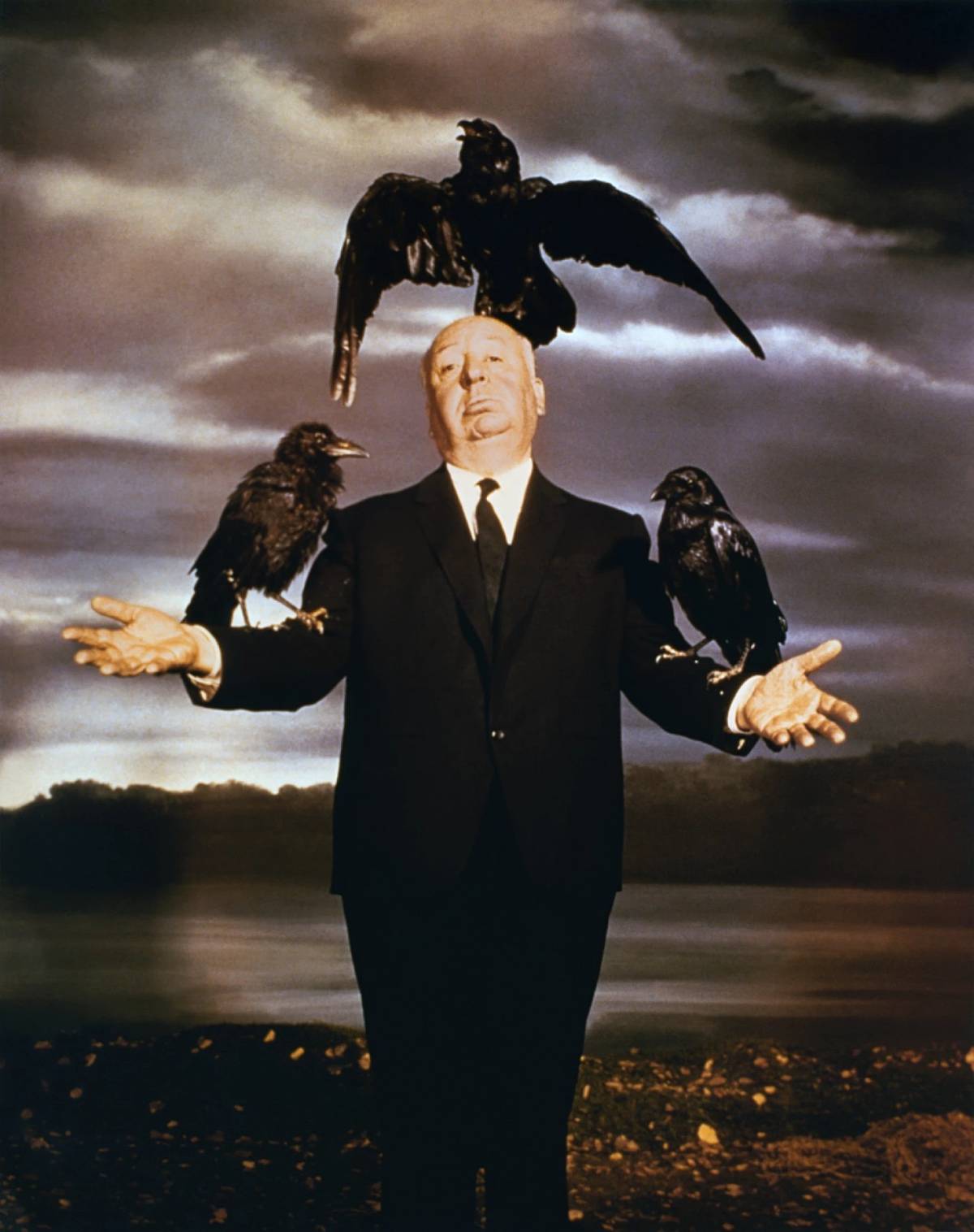Sixty three years after Alfred Hitchcock's Birds, get all set for a ...