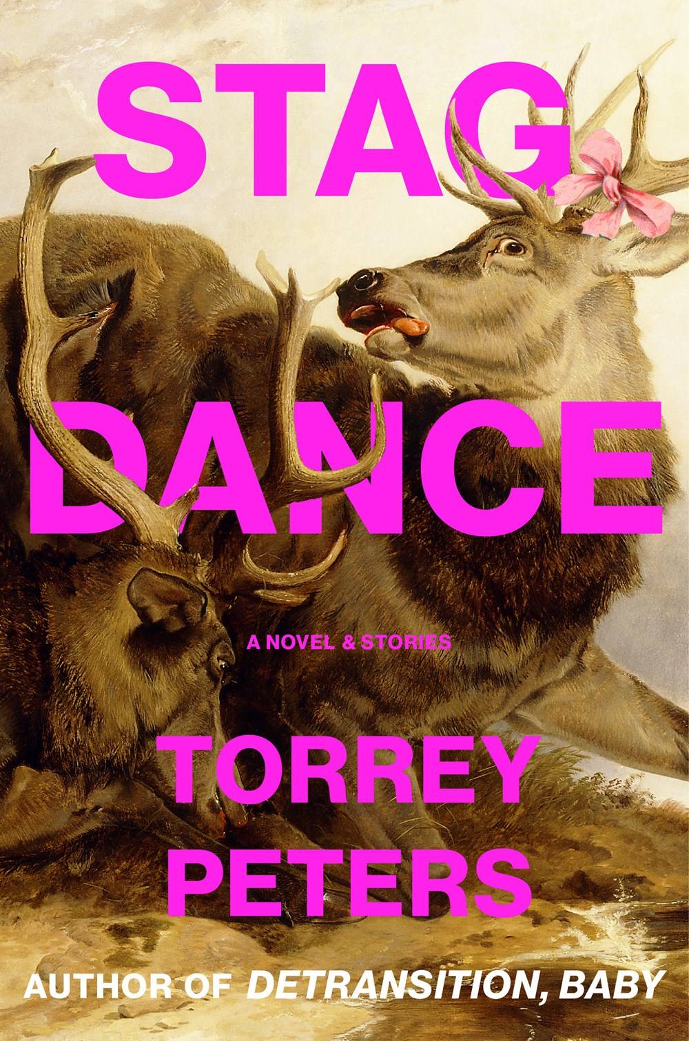 LGBTQ+ reads: Elevate your shelf: The game-changing queer stories ...