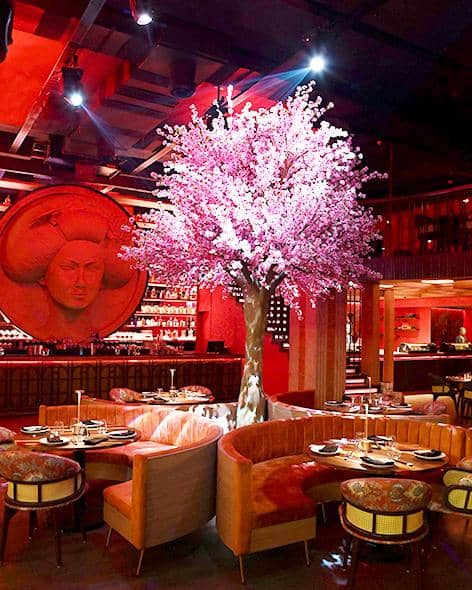 Taki Taki New Japanese Culinary Destination Opens Today t2 Online ...
