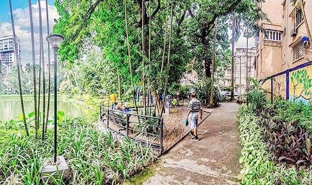 Nature Study Park on Loudon Street gets a revamped look with ...